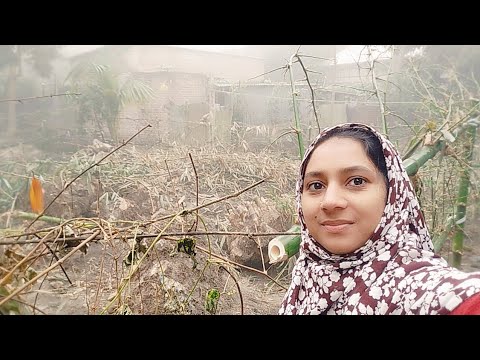 হঠাৎ কোথায় যাচ্ছি আজকের ওয়েদার টা কেমন Meherun vlog - YouTube