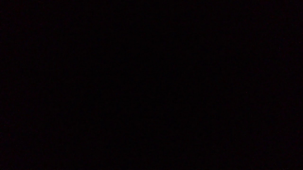 person with a monotone voice read about the shoizz: cat shoizz - YouTube