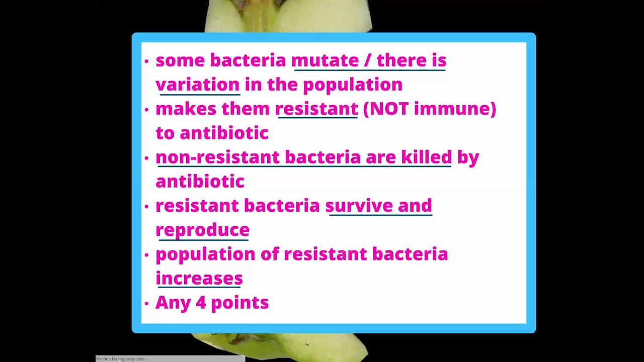 AQA GCSE SCIENCE - PRACTICE EXAM QUESTIONS AND MARKSCHEMES BIOLOGY UNIT ...