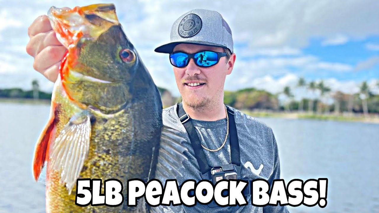 Insane Exotic Species Fishing At Lake Ida | Delray Beach, Florida - YouTube