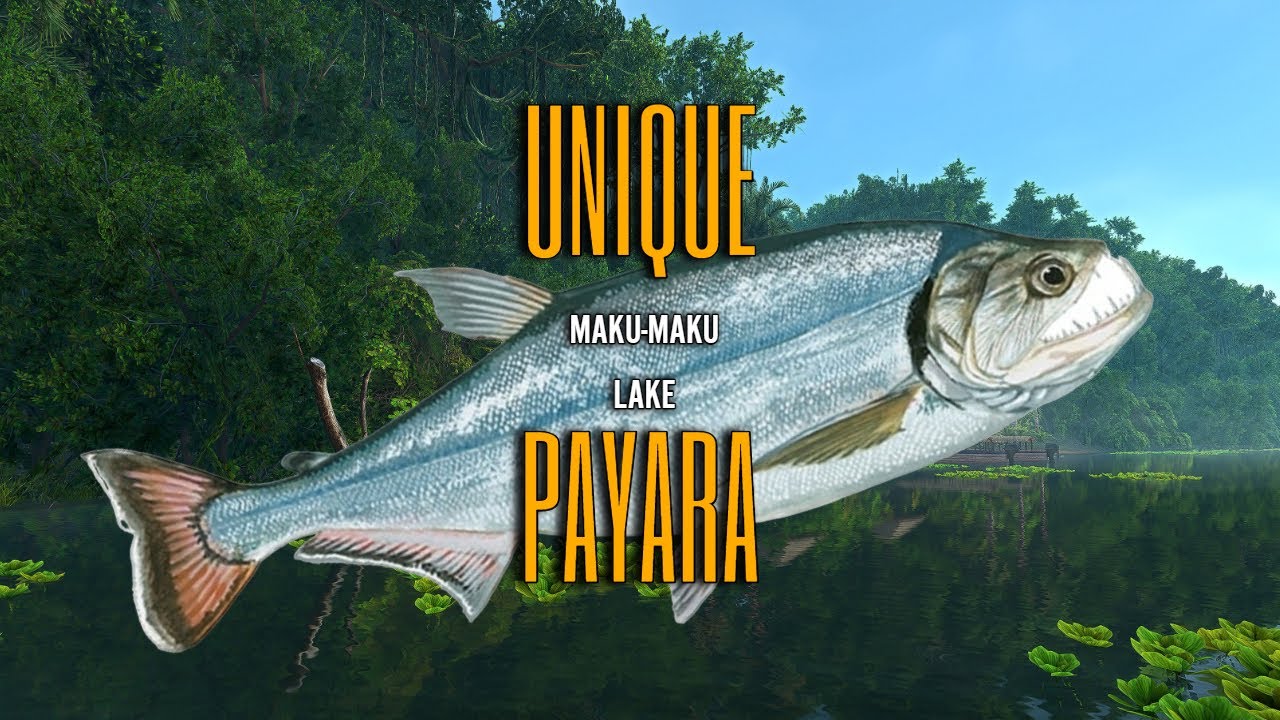 Fishing Planet|Unique Payara|Maku-Maku Lake - YouTube