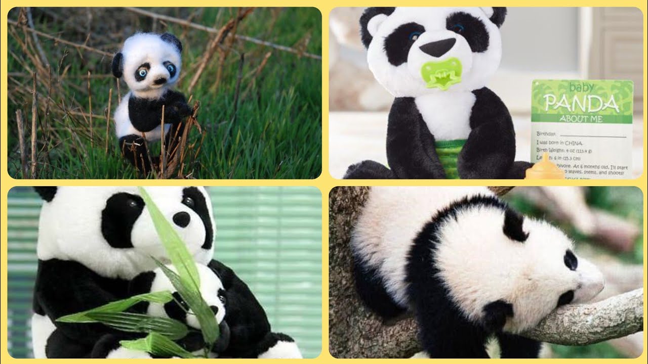 Latest Baby Panda Care Kids Cartoon - YouTube