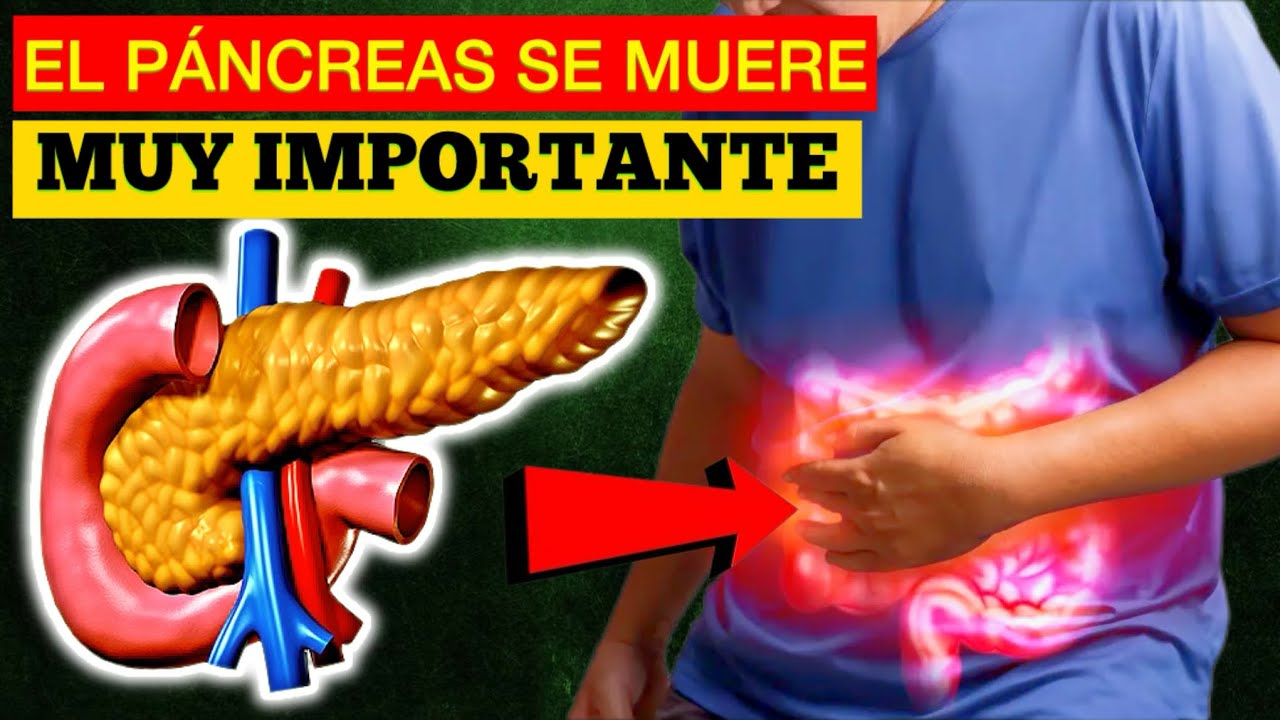 Los 12 mejores alimentos para mantener el páncreas sano durante más ...