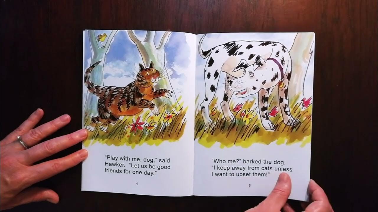 Read Along With Fitzroy Readers: The Cat, The Dog And The Vet - YouTube