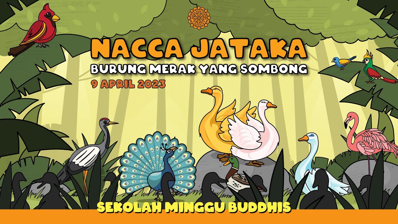 Nacca Jataka - Burung Merak Yang Sombong | Cerita Buddhis Animasi - YouTube