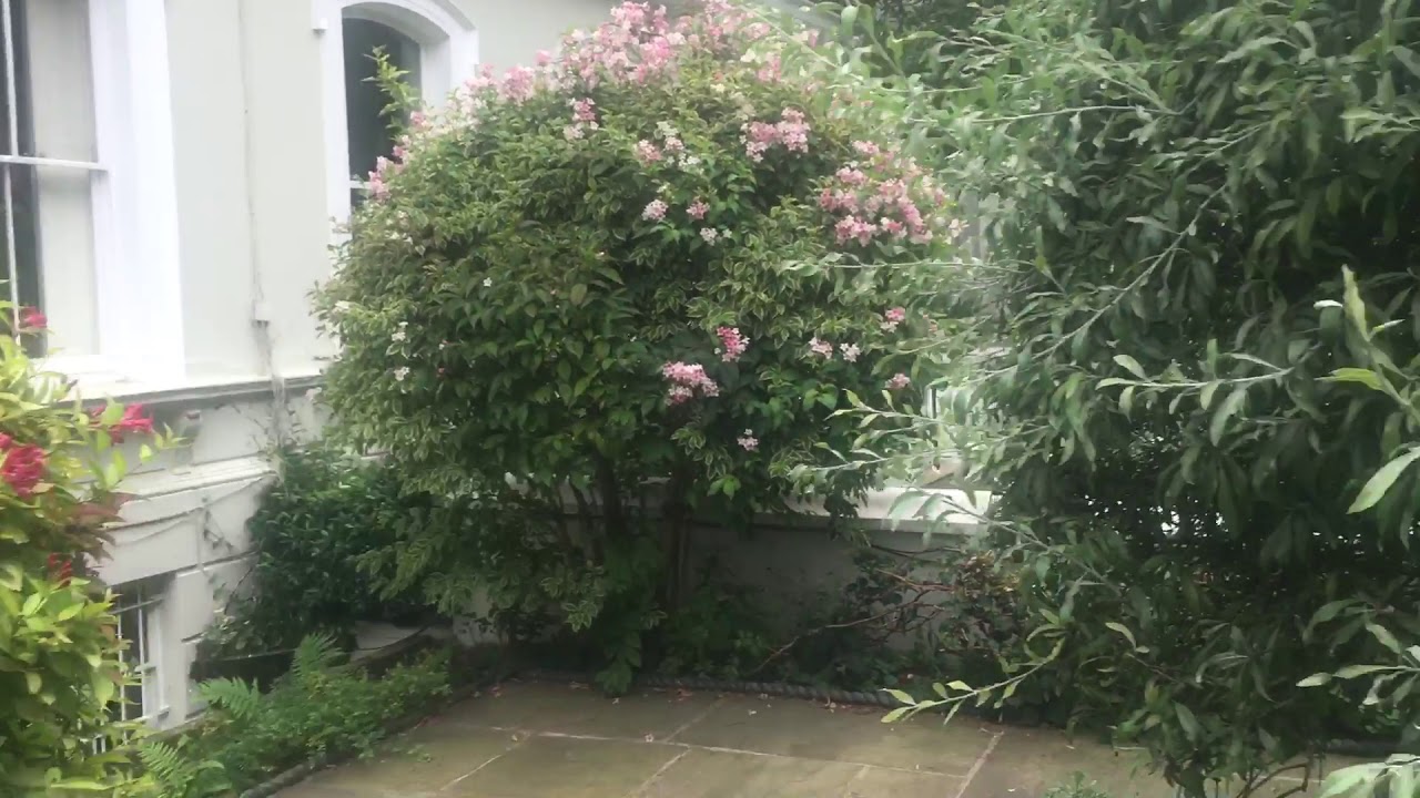 Amy Winehouse - Outside 30 Camden square - YouTube