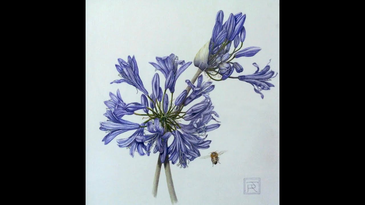 Meet The Artist - Julie Reason Studio Visit 2022 - YouTube