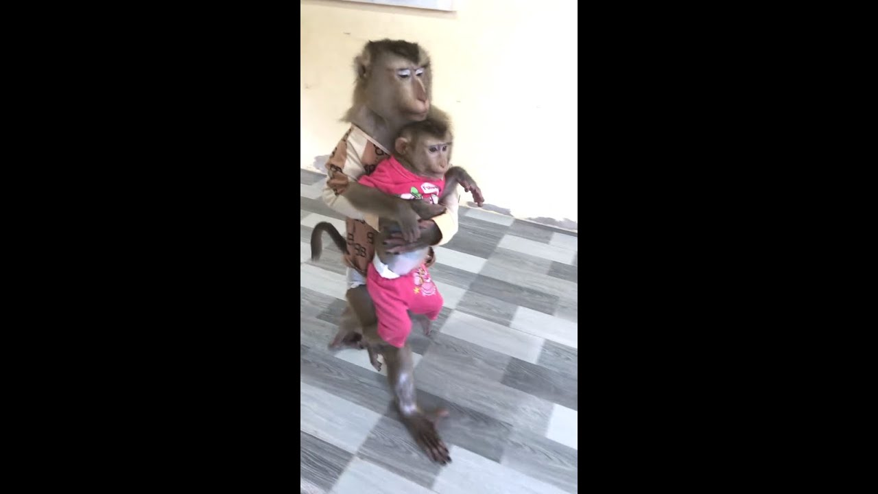 Jason Hug Cuddle Jessa Suit Running To Destination - YouTube