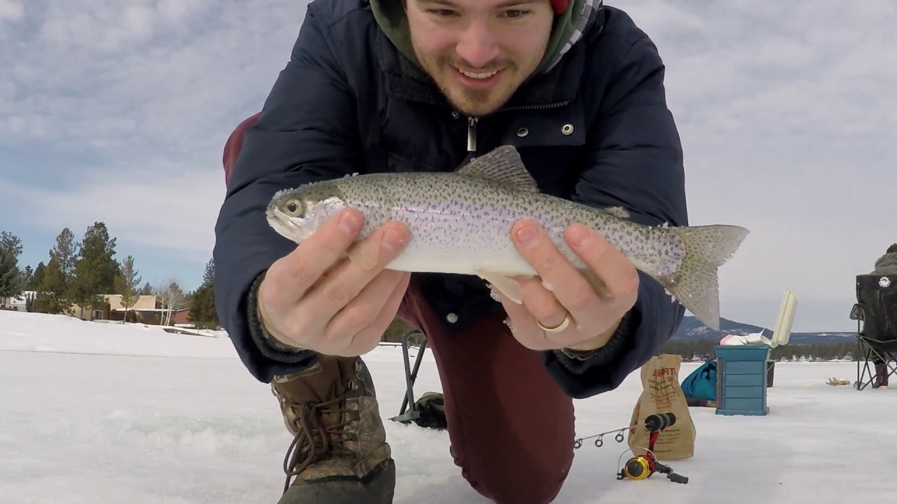 Catch and Cook Trout - First time ever ice fishing - YouTube