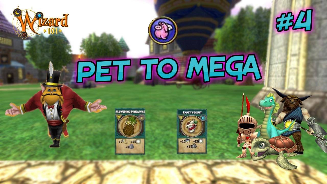 Wizard101: 4th Pet to mega - YouTube