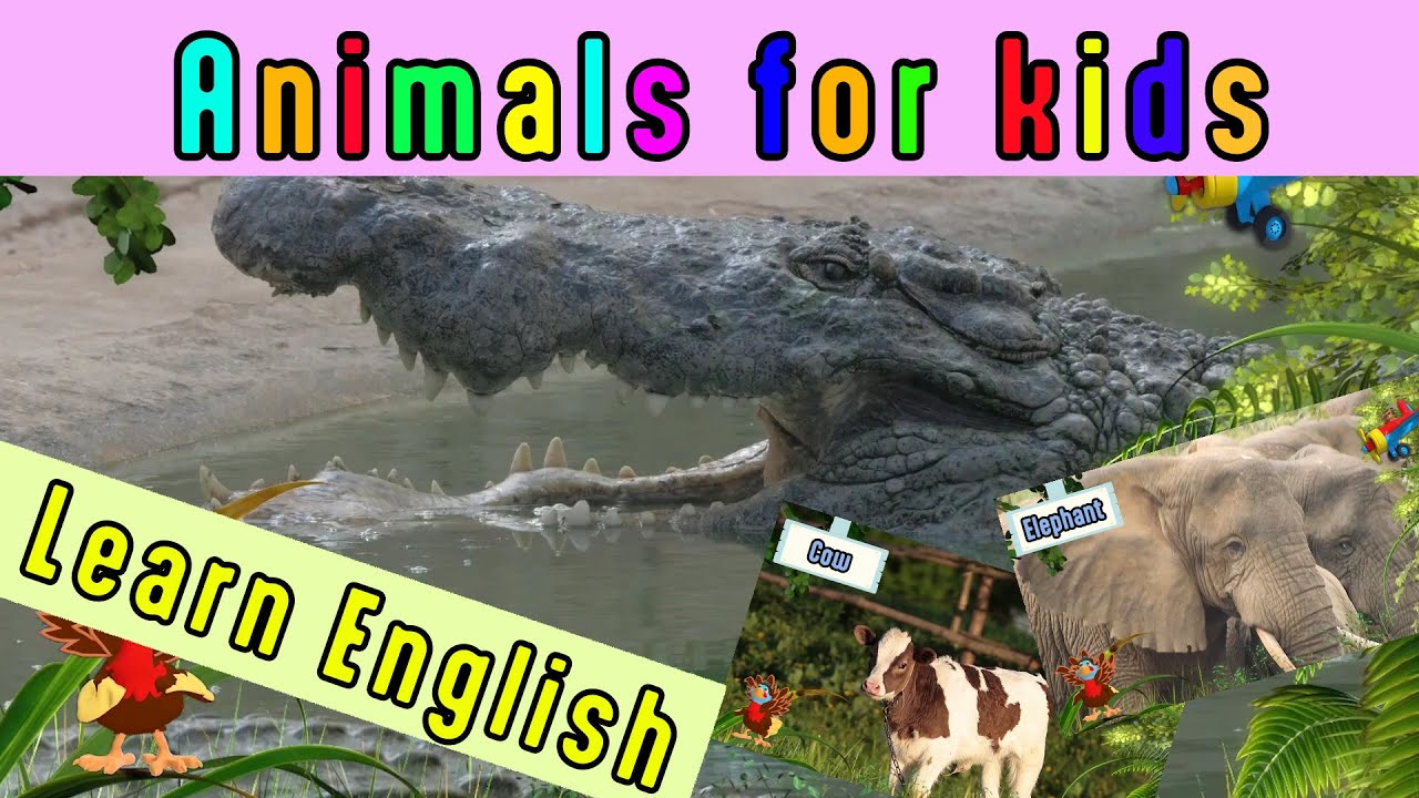 Baby Animals(Learn English vocabularies for Kids):do you know these ...