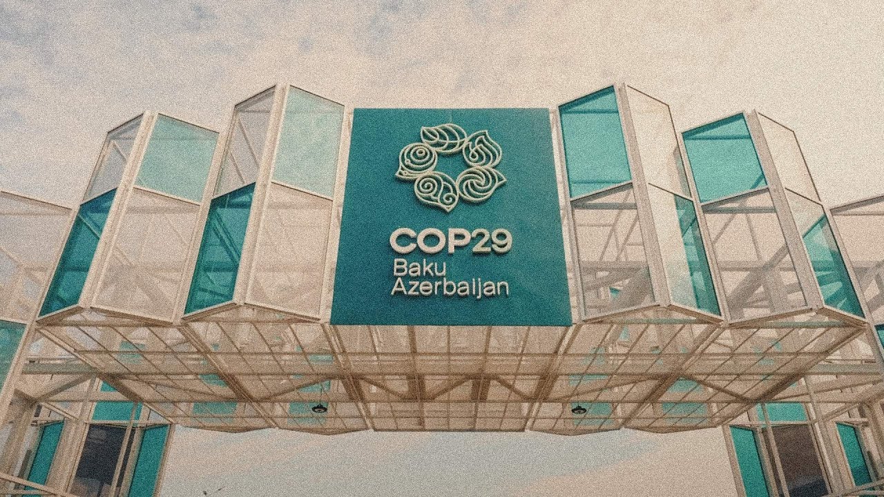 UAE Pavilion Reflects on COP29 | Thank You for an Incredible Journey ...
