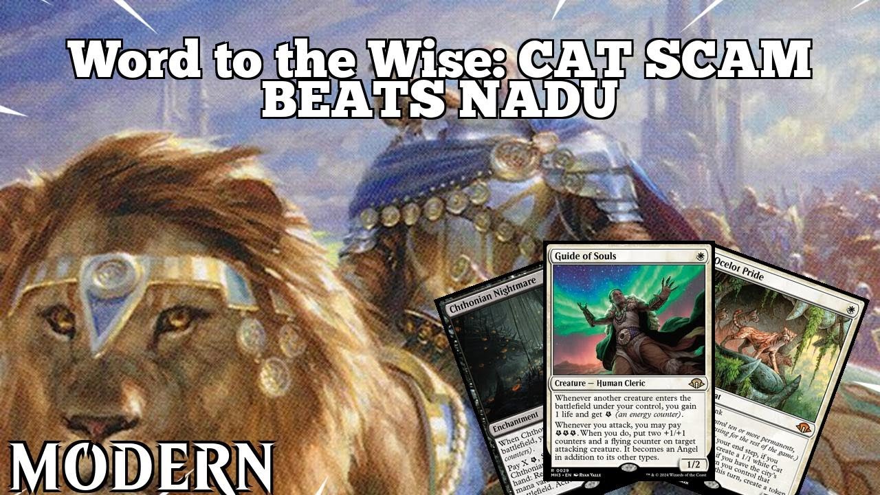Word to the Wise: CAT SCAM BEATS NADU | MH3 Orzhov Scam | Modern | MTGO ...