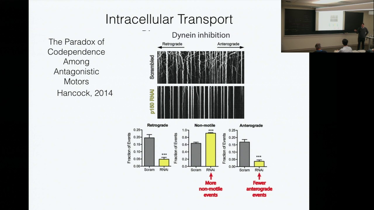 John Fricks | Renewal-reward processes ... - YouTube