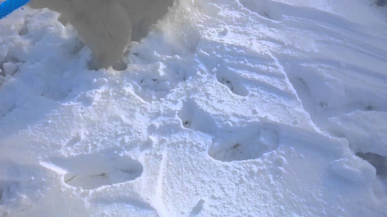 Glacier Arrives in Snowy Nebraska - YouTube