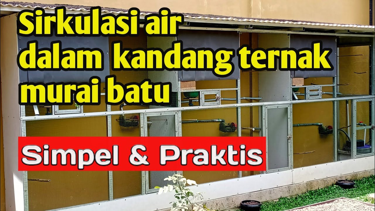 Watering system kandang ternak murai batu | SS Aviary - YouTube