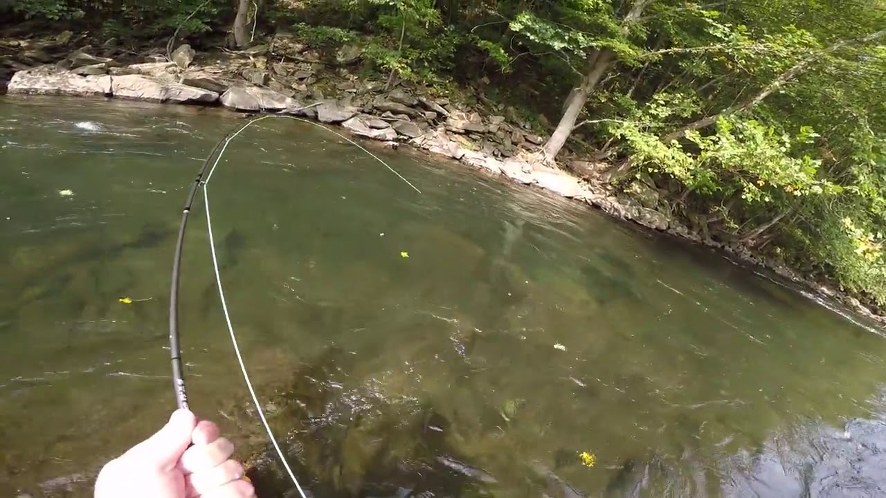 North Branch Potomac River Big Rainbow - YouTube