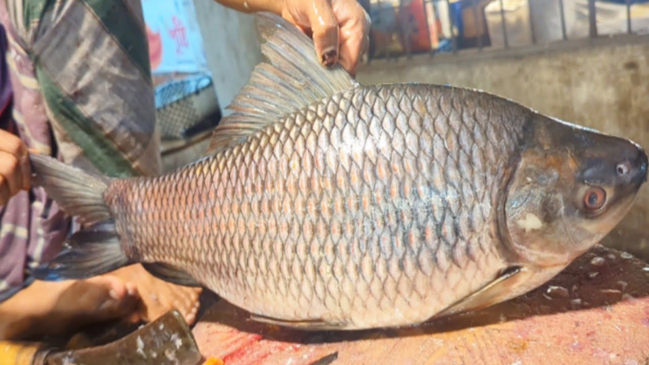 Incredible Rohu Fish Cutting Skills In Fish Market By Expert Cutter ...