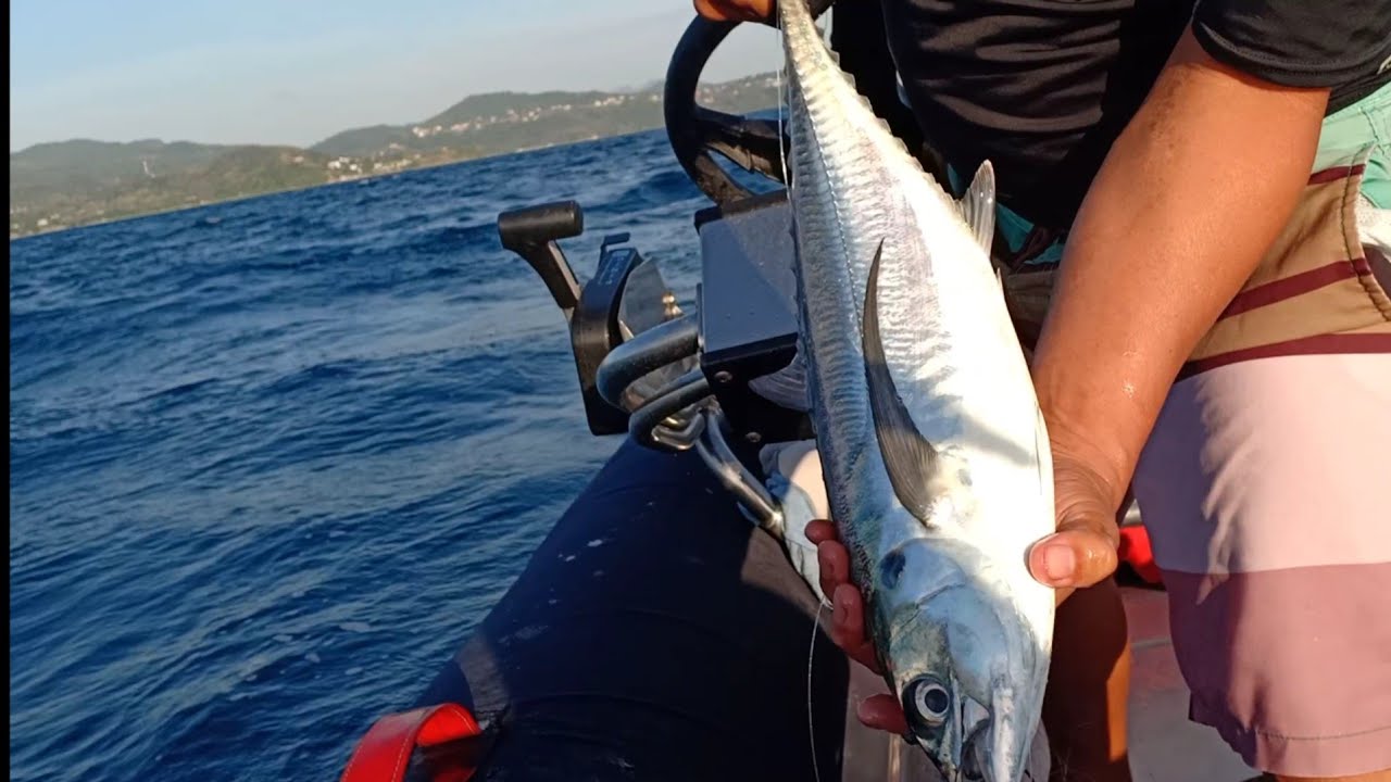 Vlog 68-DOLPHINS/ORILES FISHING ADVENTURE - YouTube