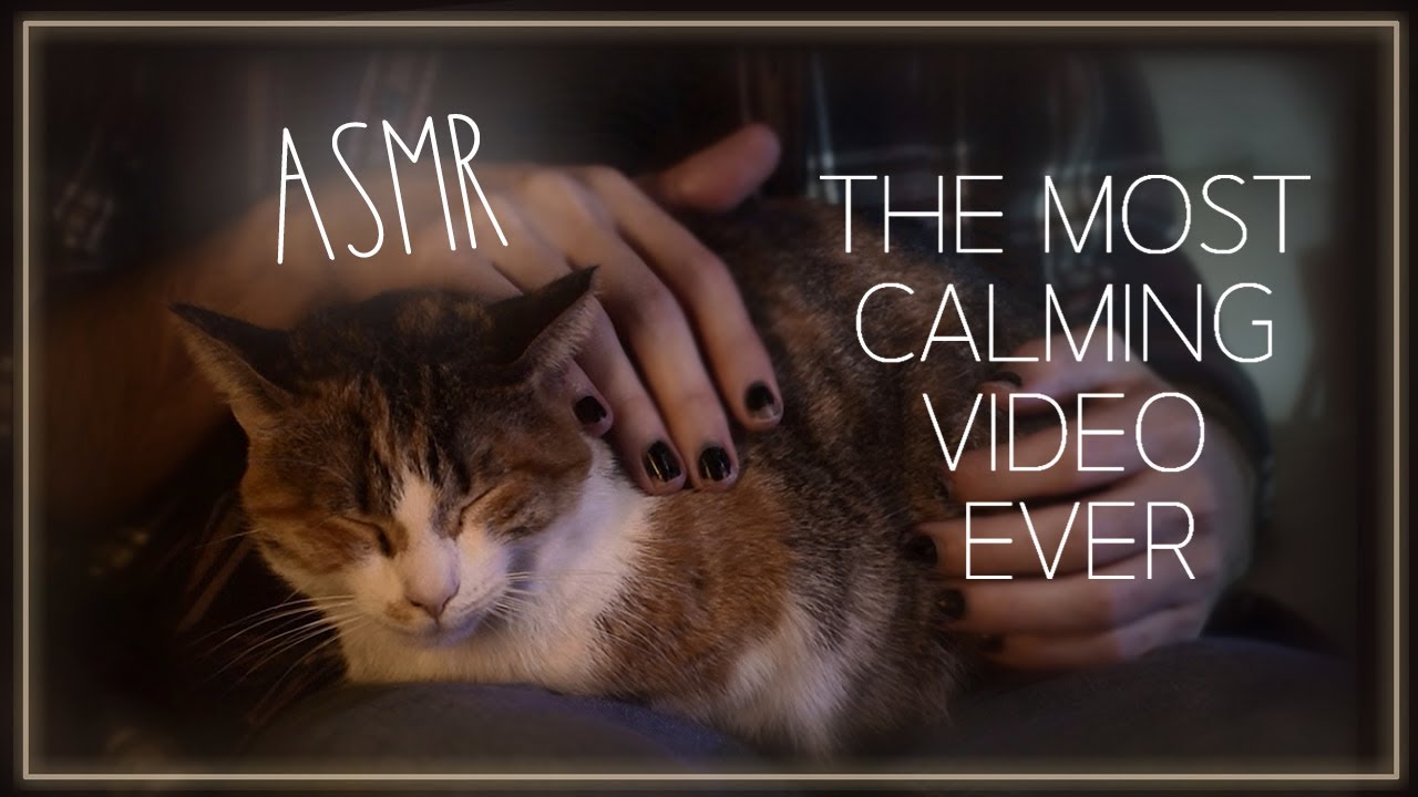 ASMR | The MOST CALMING VIDEO ever 💫 Layered sounds 🐱 (Cat Purring ...