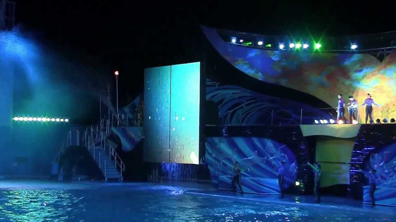 Shamu Rocks show at SeaWorld Orlando HD - YouTube