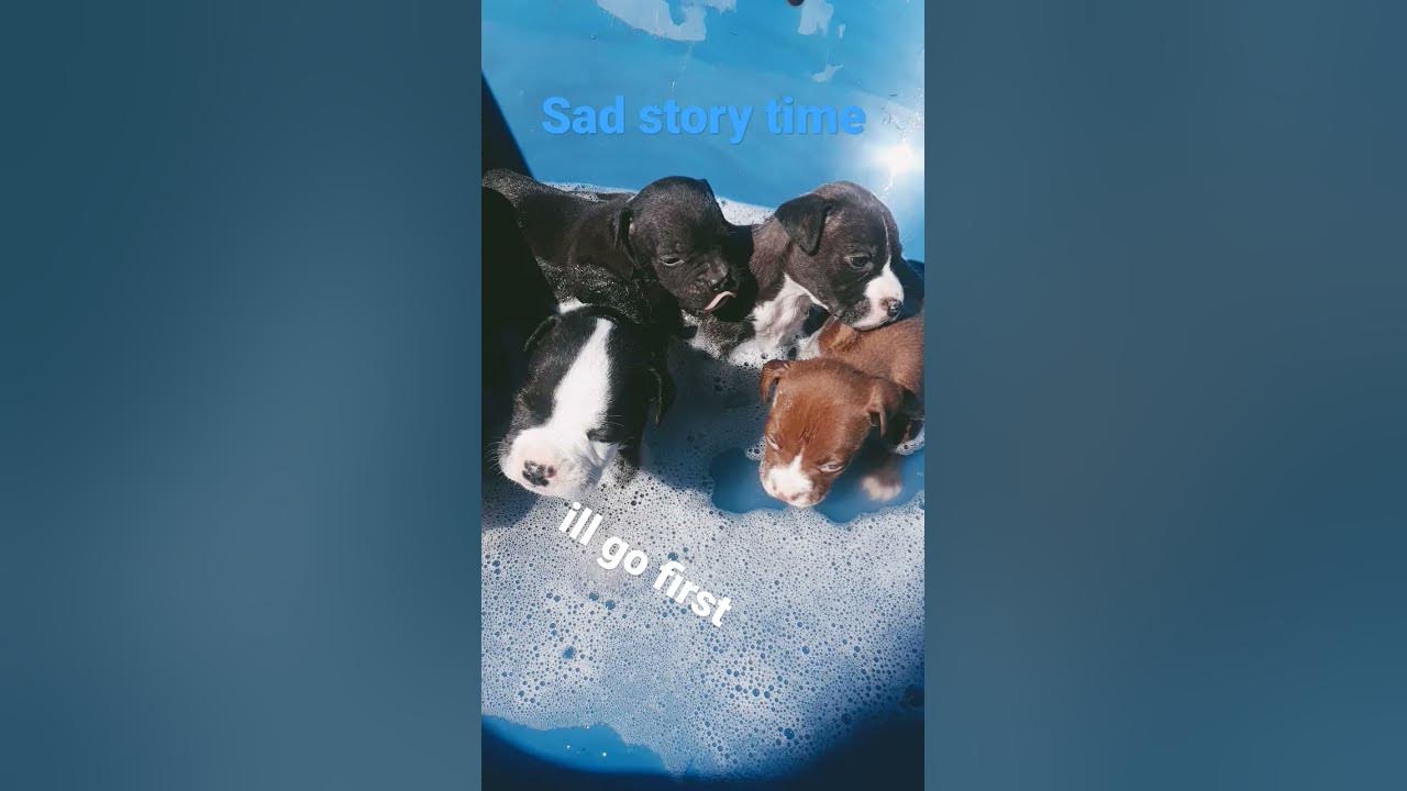 Sad Story Time Youtube
