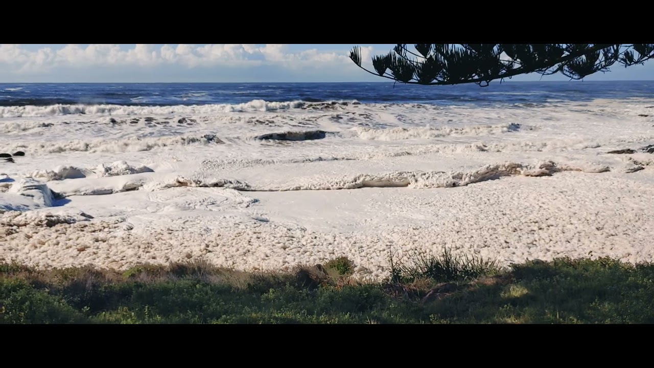 Coila Lake Opens to the sea again. Excessive Foam putting on a show ...