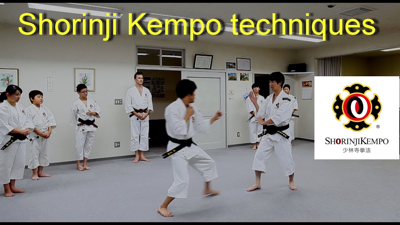 Shorinji Kempo (JAPAN) Uwa zuki, gyaku zuki and other techniques - YouTube
