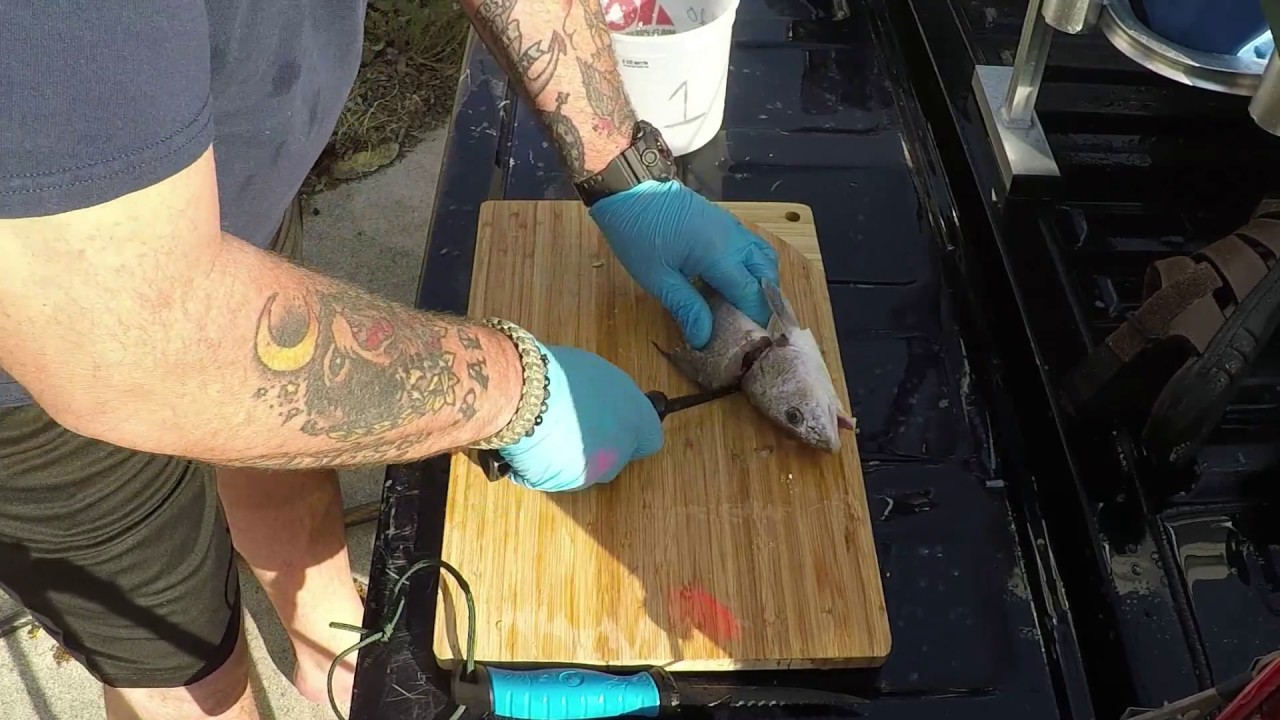 HOW TO PREPARE A FISH FOR FRYING - YouTube
