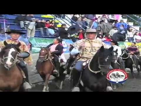Rodeo Chileno Historia y Reglas generales - YouTube