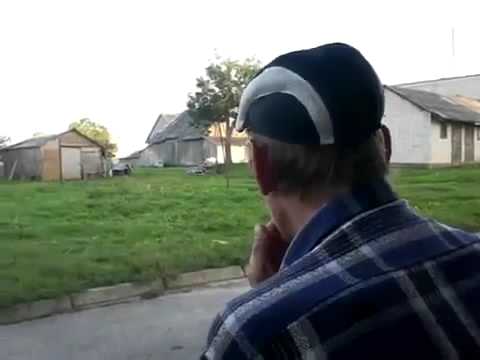 Kiesa-zebtuvelis