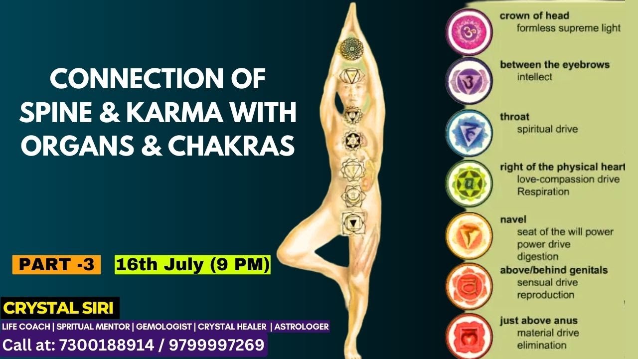 Connection Of Spine & Karma With Organs & Chakras | Crystal Siri Live ...