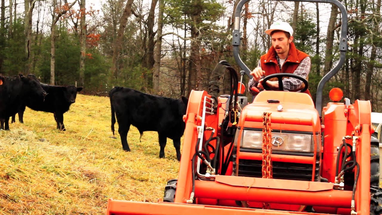 Life On The Farm - YouTube