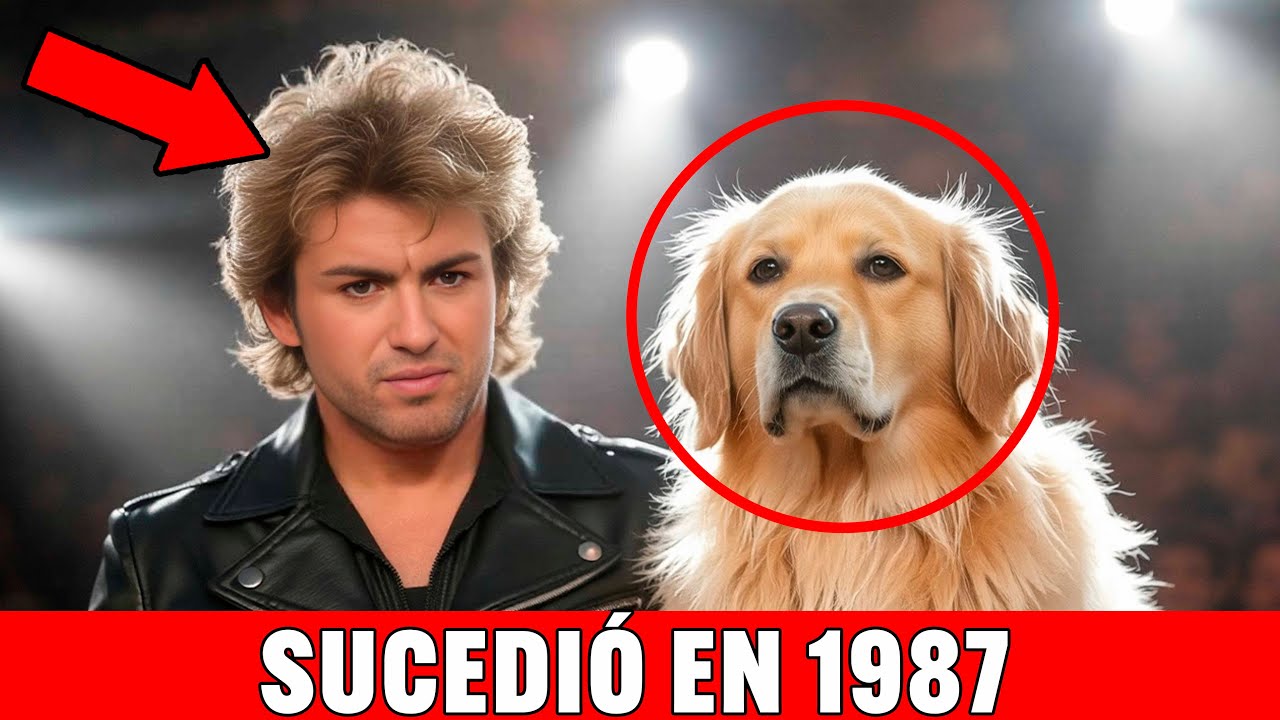 EL PERRO QUE CAMBIÓ A GEORGE MICHAEL - UNA HISTORIA DE VALENTÍA Y ...