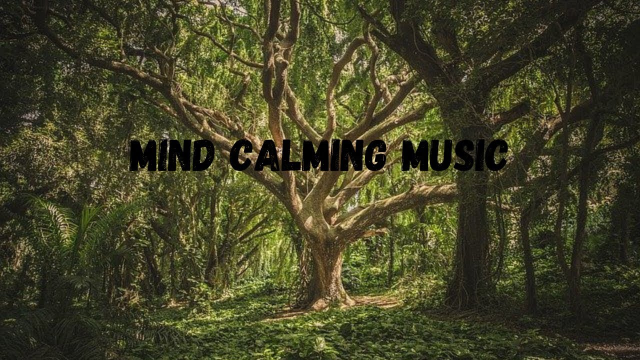 Mind Calming Music, Relaxing music, Stress relief music, Music for ...