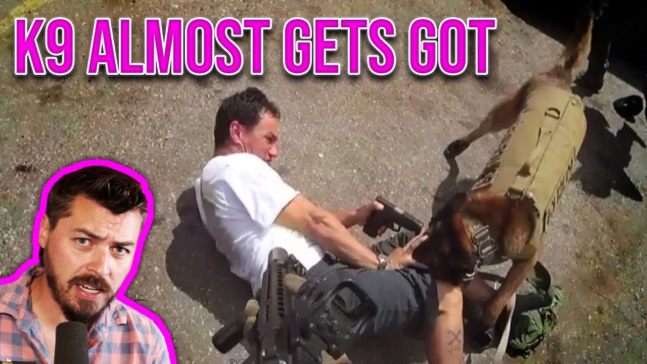 SWAT Team Saves K9 Officer From BANK ROBBER's Headshot - YouTube