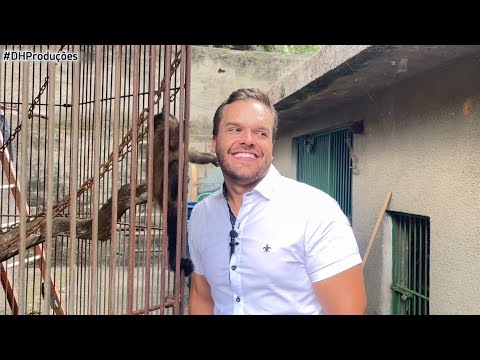 BOSQUE JEQUITIBÁS - PROGRAMA DAVID HENRIQUE (PARTE 1) - YouTube