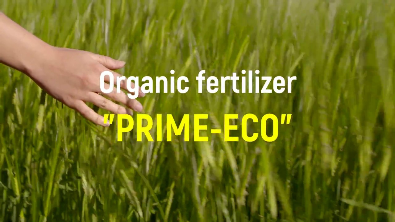 "Prime-Eco" - organic fertilizer of new generation - YouTube