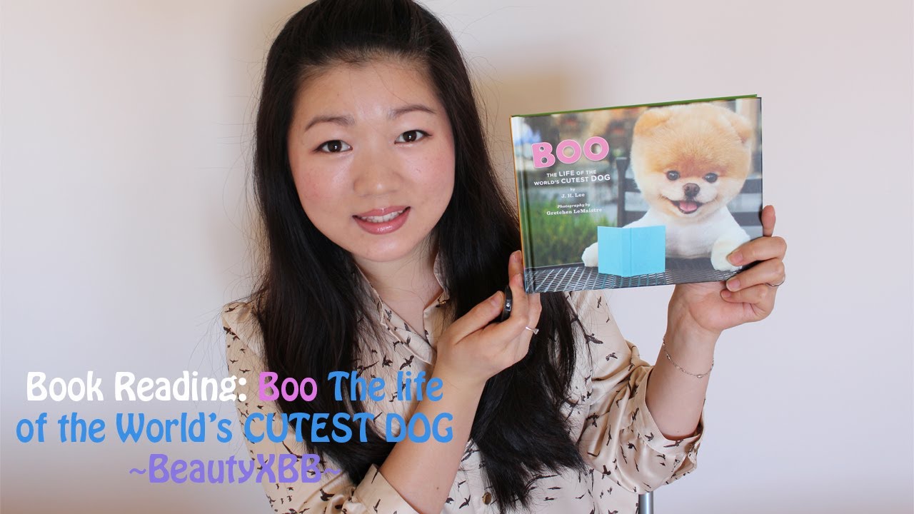 Book Reading: Boo The Life of the world's CUTEST DOG - YouTube