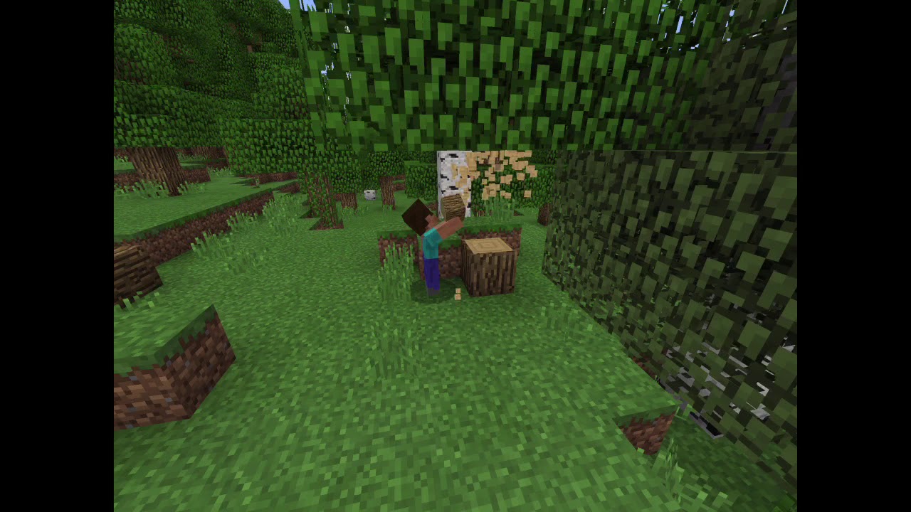 Real Steve’s life - YouTube