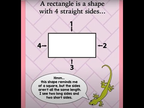 Story of Rectangle in Math in English - YouTube