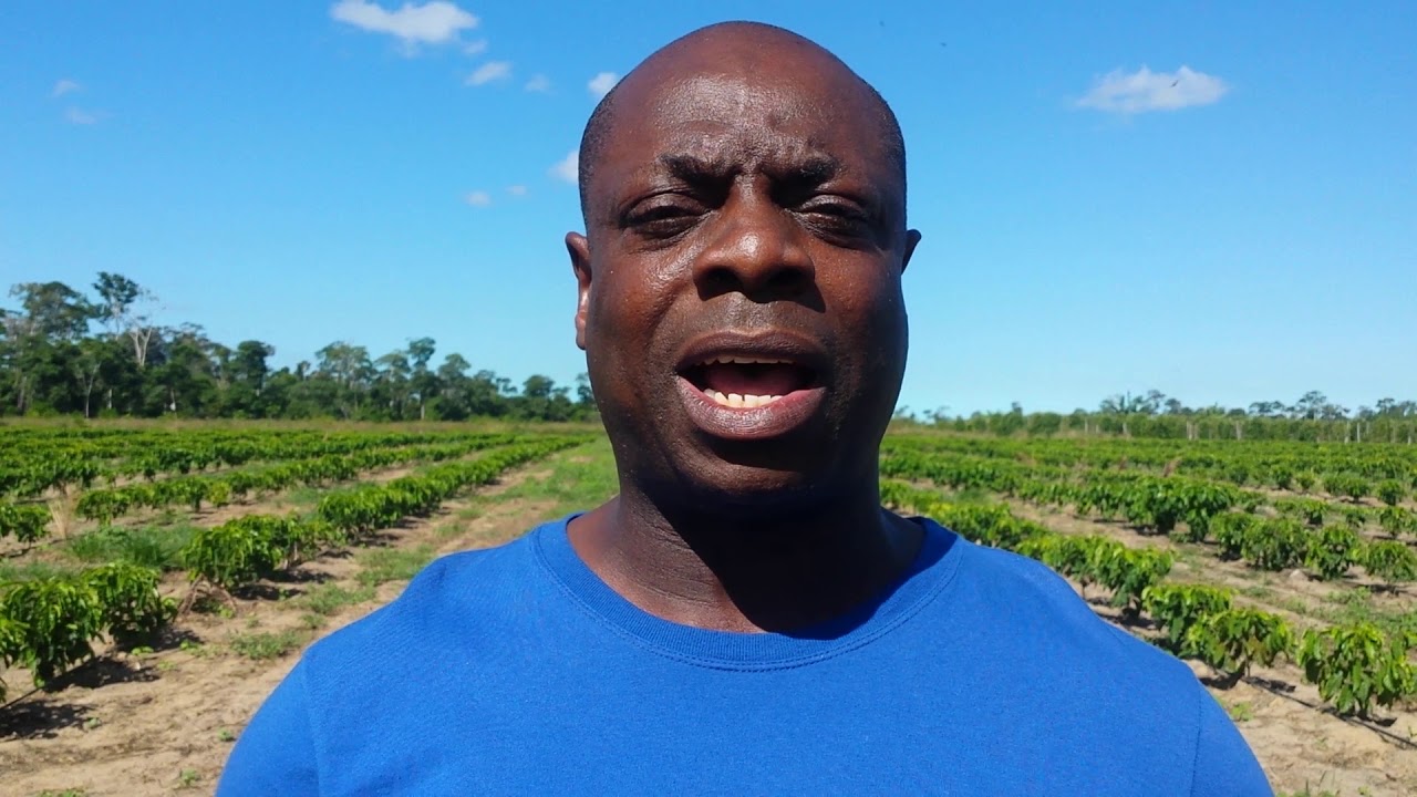 ATOR ZÉ DE ABREU: SENIL, DÉBIL MENTAL, RETARDADO E CHAPADO. - YouTube