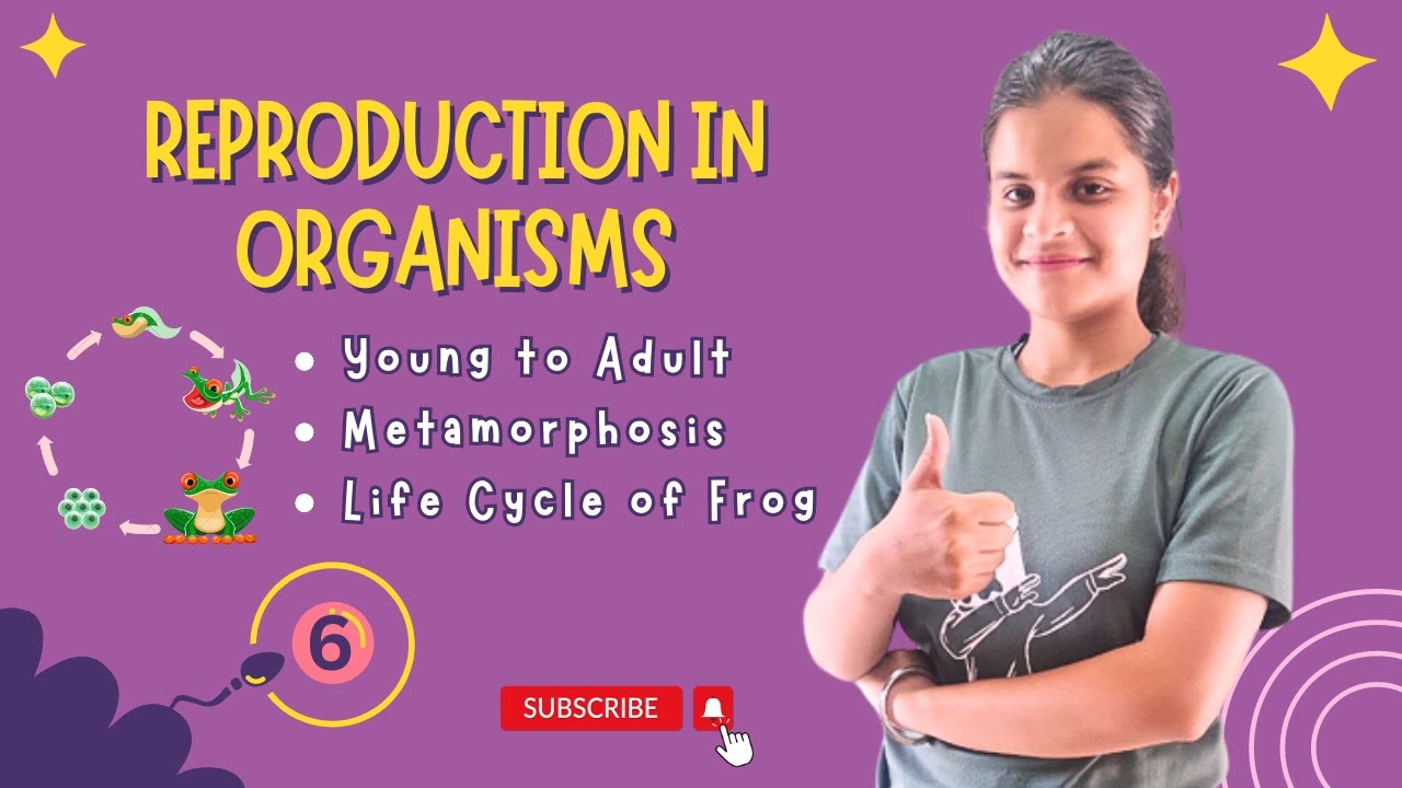 Part 6 | Young to Adult | Metamorphosis | Reproduction In Organism ...