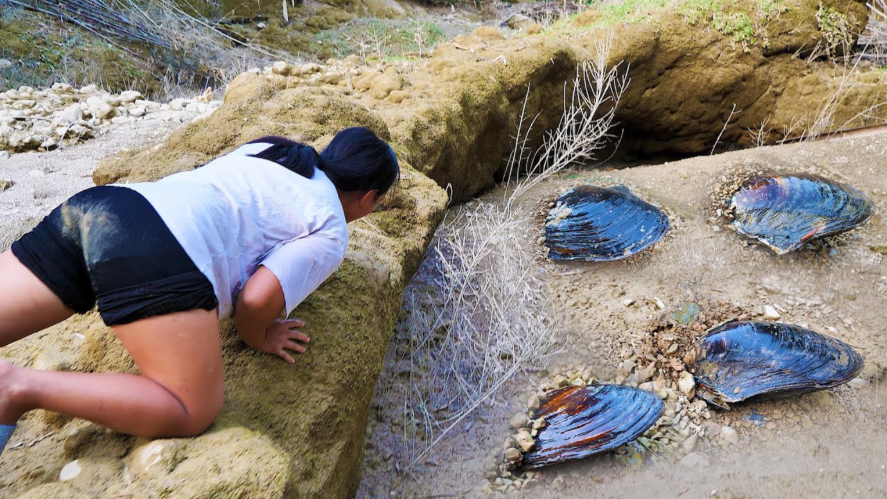 The clams in the river are very rich, and she extracted the pearls ...