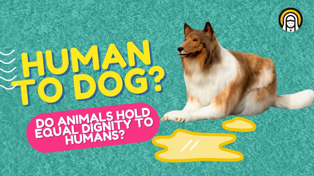 Meet Toco, the Human Dog - Do Animals Hold Equal Dignity To Humans ...