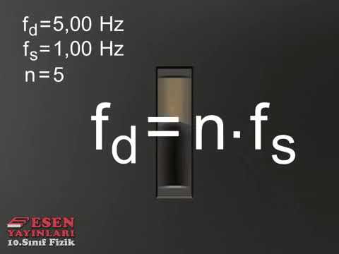 Esen Yayınları Animasyonları:  Stroboskop  (Su Dalgalarında Yayılma Hızı Hesaplama) (10.Sınıf) | 3D