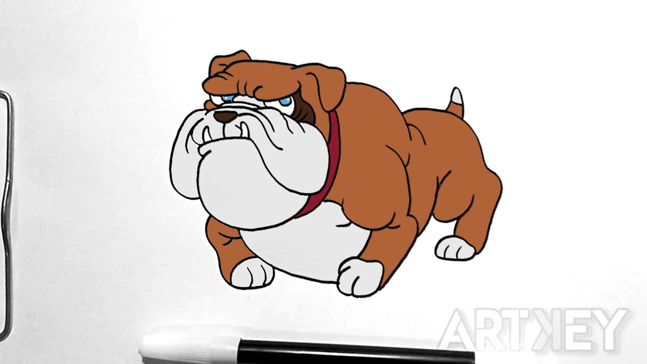 How To Draw CARTOON BULLDOG - YouTube