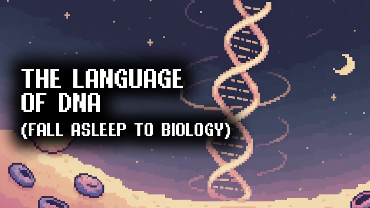 DNA and Genes | Soft Genetics Lecture for Sleep - YouTube