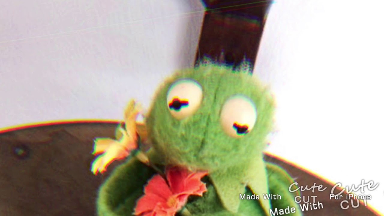 Kermit edit shahs - YouTube