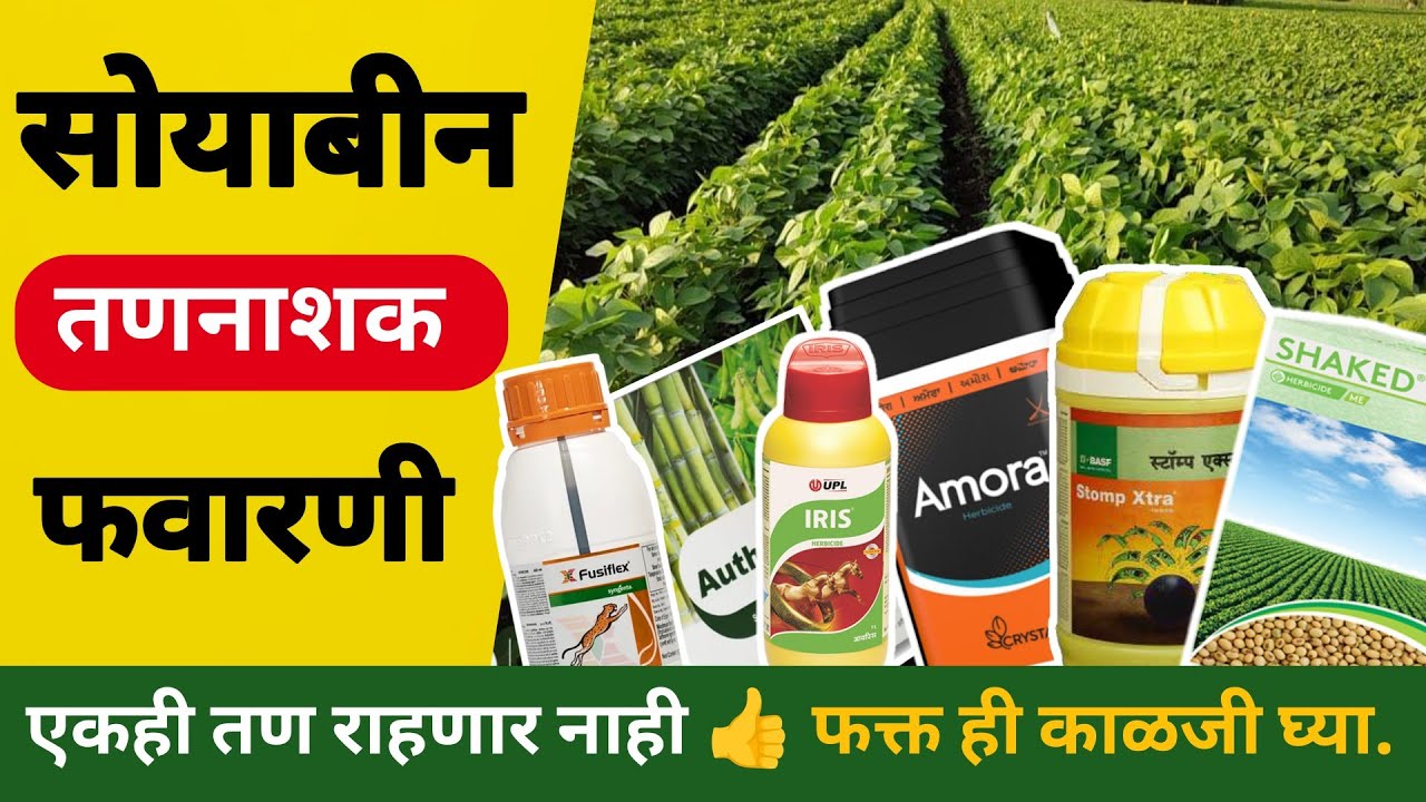 सोयाबीन तननाशक फवारणी | soybean tannashak favarni | सोयाबीन तन नियंत्रण ...